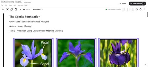 My Project On Unveiling Patterns In Floral Data Jay Karanja Posted On The Topic Linkedin