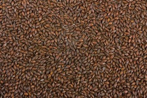 Brewing Ingredients Brewing Grains Base Malt Page 1 Farmhouse