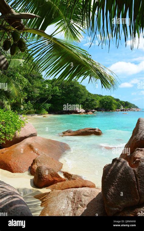 Anse Lazio Beach In The Island Praslin Seychelles Indian Ocean