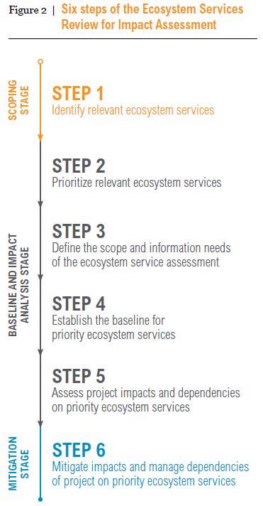 6 Steps Of The Ecosystem Services Review For Impact Assessment