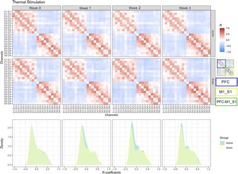 Group Level Connectivity Models Of Thermal Stimulation Color Coded