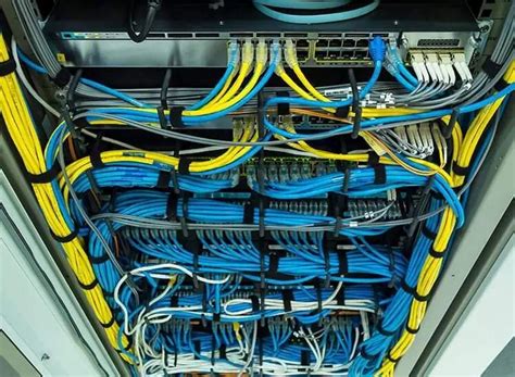 Lan Network Cabling Installation Service At ₹ 1000month In Noida Id