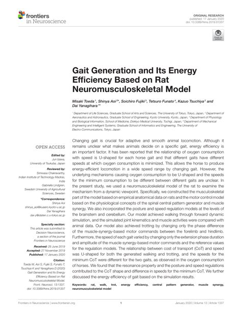 Pdf Gait Generation And Its Energy Efficiency Based On Rat Neuromusculoskeletal Model