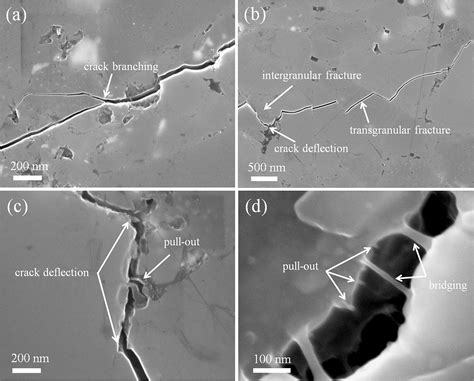 Journal Of Materials Science On Twitter August Editorspick Composites Of Boron Carbide