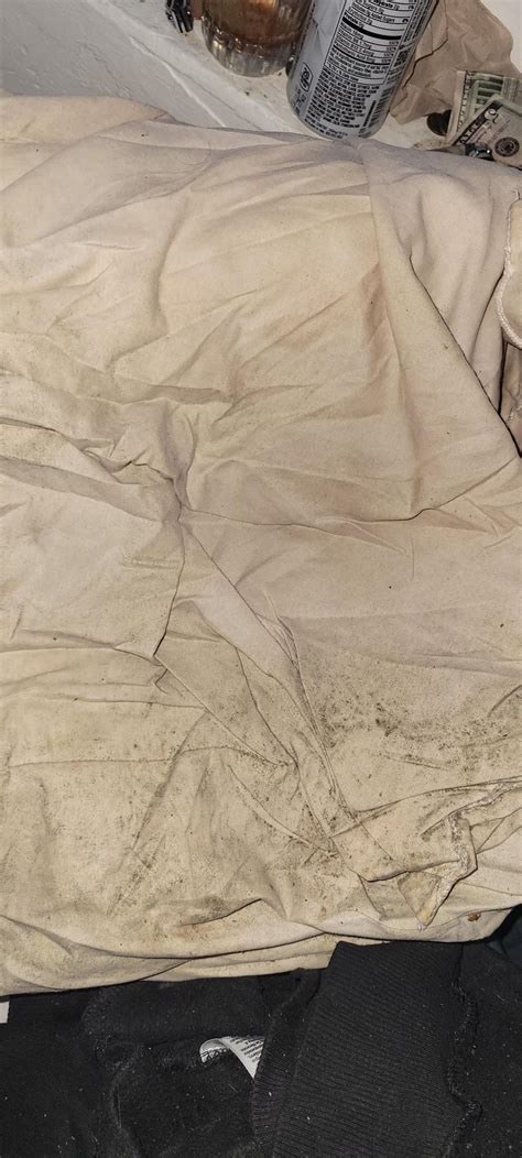 Mold Identification R Mycology