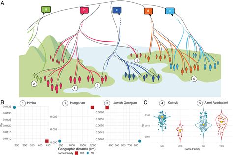 Traits And Genetics Graphs