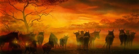 The Art Behind The Magic Breathtaking Visual Development From The