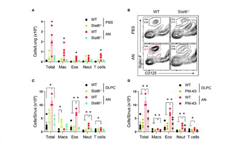 Stat6 Is Essential For Eosinophilic Murine Sinusitis A Stat6 Or Download Scientific