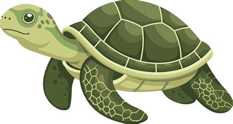 Turtle Clipart Design Illustration 46156634 Png