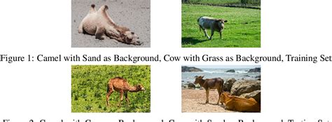 Figure 1 From Robust Neural Network For Causal Invariant Features