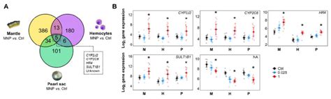 Differentially Expressed Genes Across P Margaritifera Tissues After A