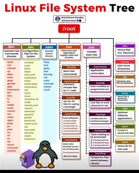 sophia u on linkedin cybersecurity linux commandline