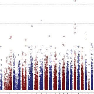 Manhattan Plot With Log P Values From The Repeated Measures