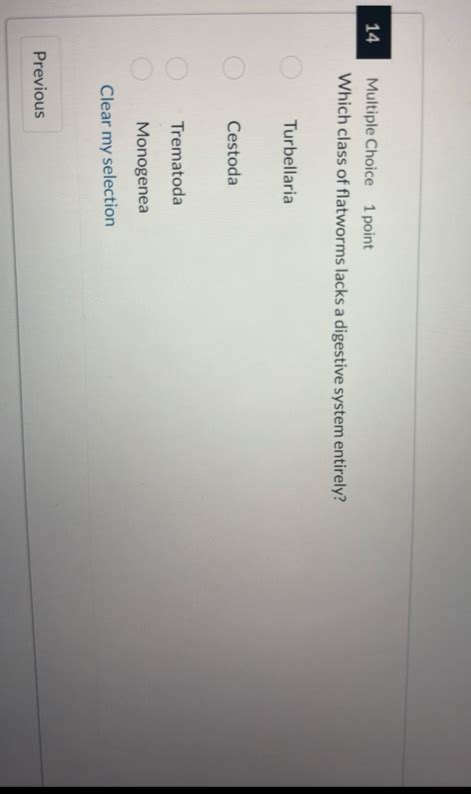 14multiple Choice 1 ﻿pointwhich Class Of Flatworms