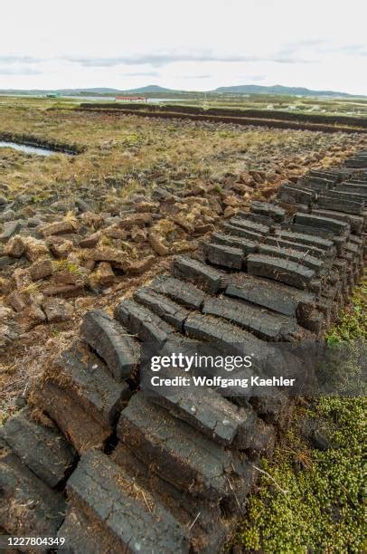 Stanley Moss Photos And Premium High Res Pictures Getty Images