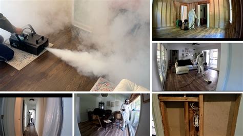 Removing Mold And Mycotoxins The Real Goal Of Mold Remediation
