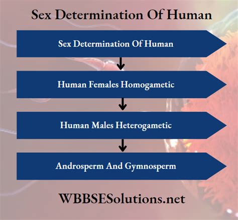 wbbse solutions for class 10 life science and environment chapter 3 sex