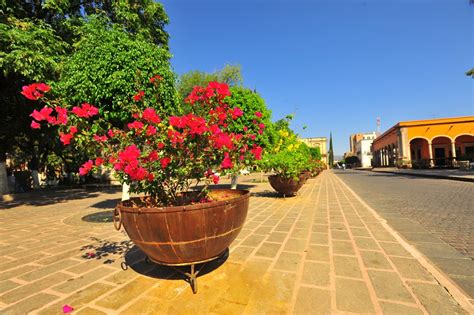 ¿qué Hacer En El Pueblo Mágico De Nochistlán