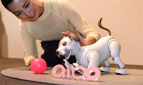 Sony Brings Its Ai Infused Robotic Dog Aibo Back From