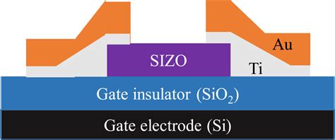 Schematic Diagram Of The Device With A Bottom Gate Tft Structure With Download Scientific