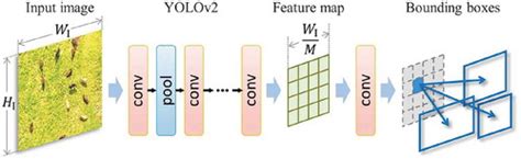 Full Article Cattle Detection And Counting In Uav Images Based On Convolutional Neural Networks
