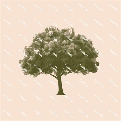 Photoshop Brushes Summer Trees Elevation Etsy