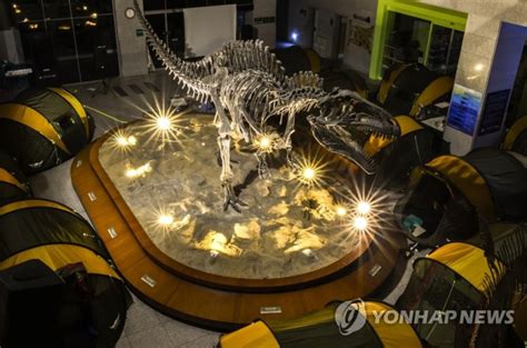 가상공간서 만나는 서대문자연사박물관 파이낸셜뉴스