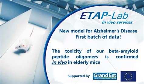 Etap Lab Preclinical Cro On Linkedin New Model For Alzheimers Disease First Batch Of Data