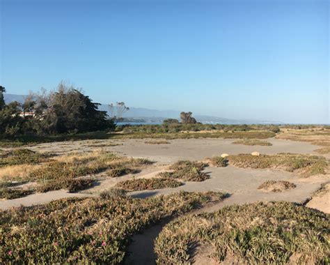 Paved Area Of Campus Point Isla Vista Localwiki