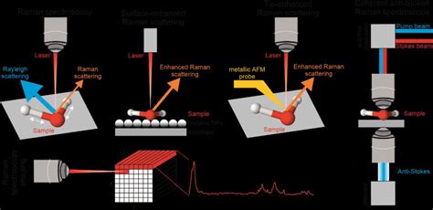 The Main Raman Techniques Implemented To Biopolymer Analysis Raman Download Scientific Diagram