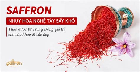 Saffron Là Gì 5 Điều Cần Nên Biết Trước Khi Sử Dụng Saffron