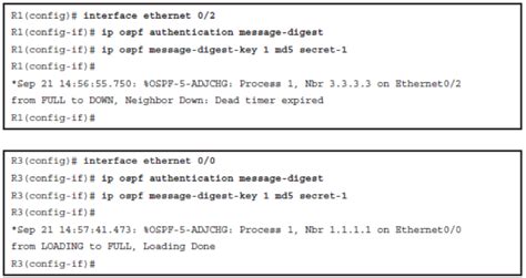 ccnp route version 7 chapter 8 routers and routing protocol hardening