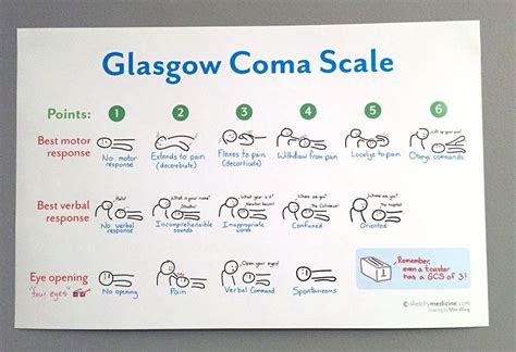 Glasgow Coma Scale Gcs Artofit