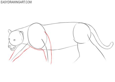 How To Draw A Jaguar Easy Step By Step Tutorial