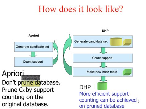 Dynamic Hashing And Merkle Tree Building Skills For Data Science