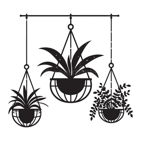 Hanging Plants Silhouette Stock Illustrations 544 Hanging Plants