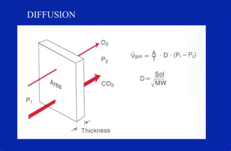 Lecture 4 Diffusion And Ventilationperfusion Flashcards Quizlet