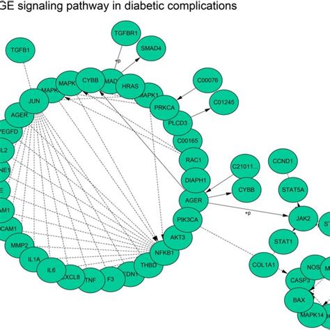Detailed Information Of Sub Pathway Age Rage Signaling Pathway In Download Scientific Diagram