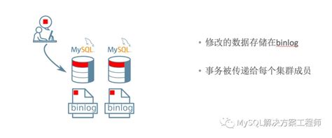 可能是我见过最好的 Mysql 高可用解决方案 Mysql Innodb Cluster 中文教程！ 墨天轮