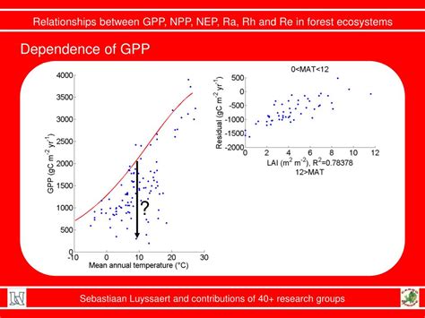 Ppt Relationships Between Gpp Npp Nep Ra Rh And Re In Forest Ecosystems Sebastiaan