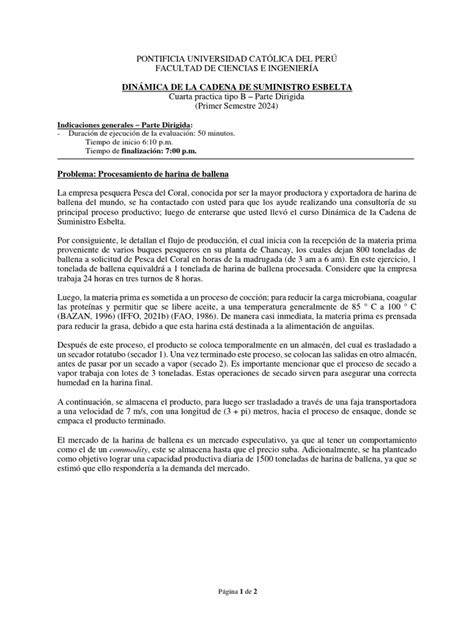 Pd4 Flexsim 2024 1 Pdf
