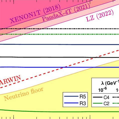Current And Projected Direct Detection Constraints On Four Fermionic