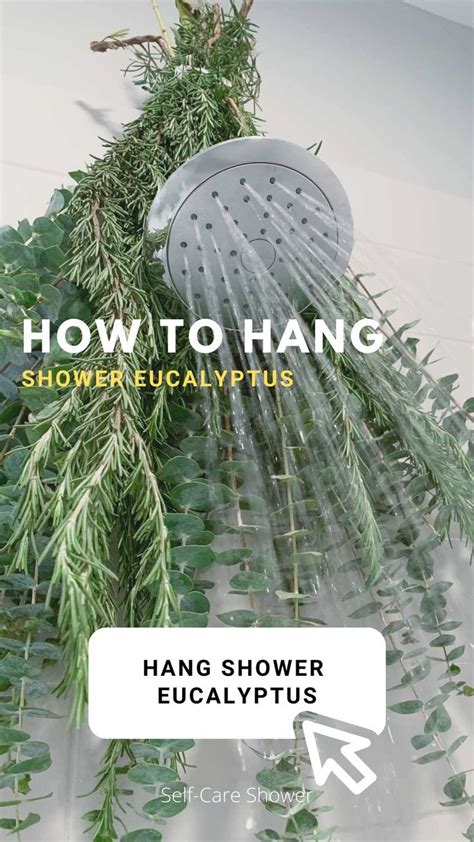 Guide How To Take The Best Eucalyptus Shower Ever Fresh Leaves Artofit