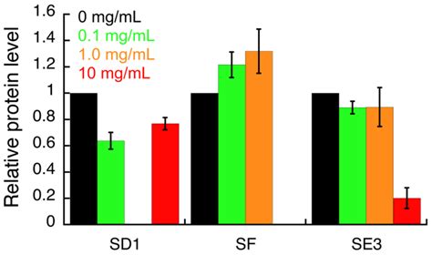 Densitometric Analysis Of The Western Blot Images Shown In The Download Scientific Diagram