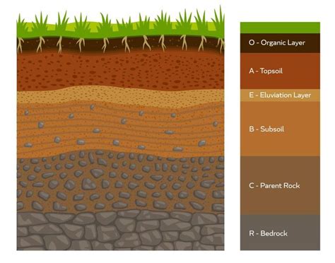 Bodenschicht Infografik Erdgeologiebildung Infografik Geologie Grafik