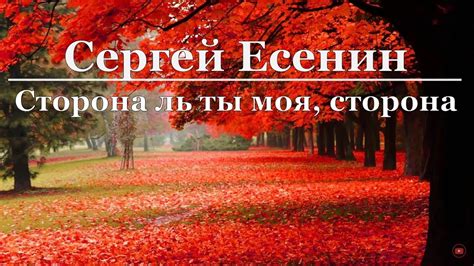Сергей Есенин - Сторона ль ты моя, сторона - YouTube