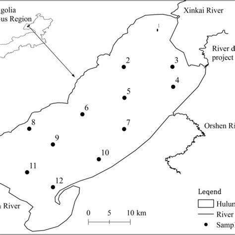 Sequential Extraction Steps Of The Chemical Components Of Som And Spom