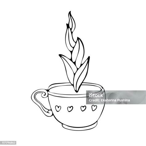 손으로 그린 커피 컵 스케치 와 차 벡터 일러스트 흰색 배경에 격리된 선으로 그려진 흑백 벡터 그림입니다 에스프레소 카푸치노 음성 라떼 아일랜드어 모카 귀여운 낙서 0명에