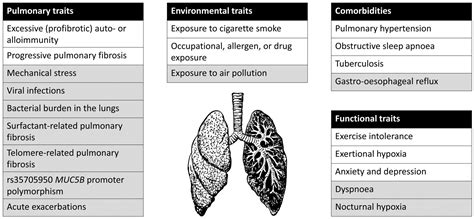 Towards Treatable Traits For Pulmonary Fibrosis