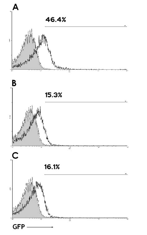 Transduction Of Primary Mouse Splenocytes Splenocytes Were Download Scientific Diagram